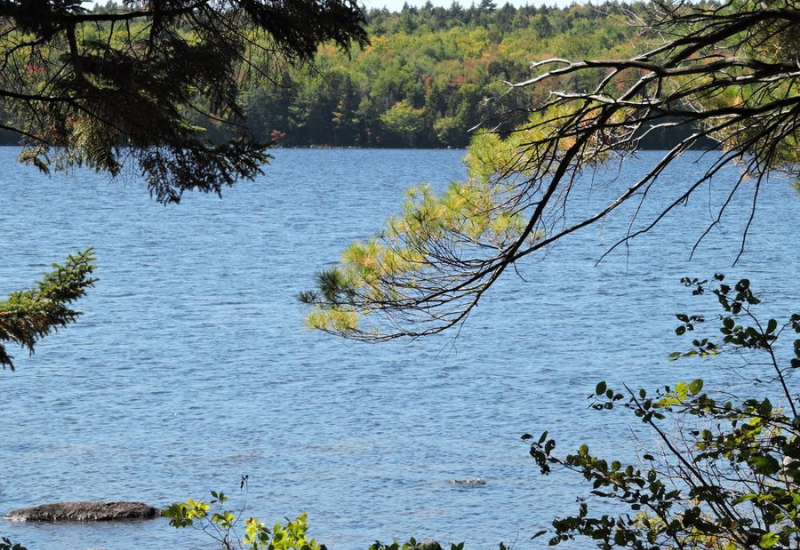 Explore - Discover Ellsworth